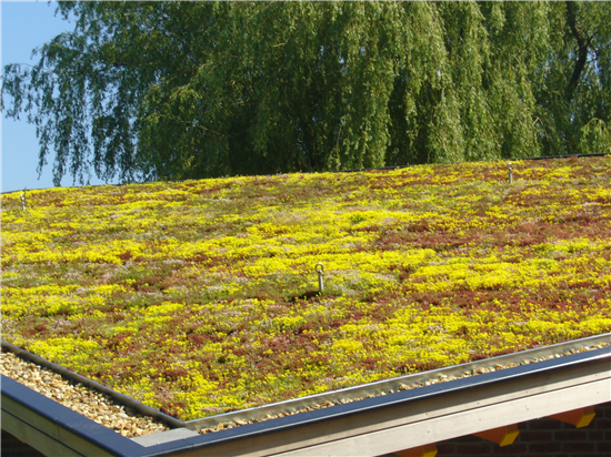 Groendak systeem - Lichtgewicht - Sempergreen | Eco-Logisch | Eco ...