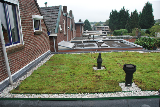 Groendak systeem - Lichtgewicht - Sempergreen | Eco-Logisch | Eco ...