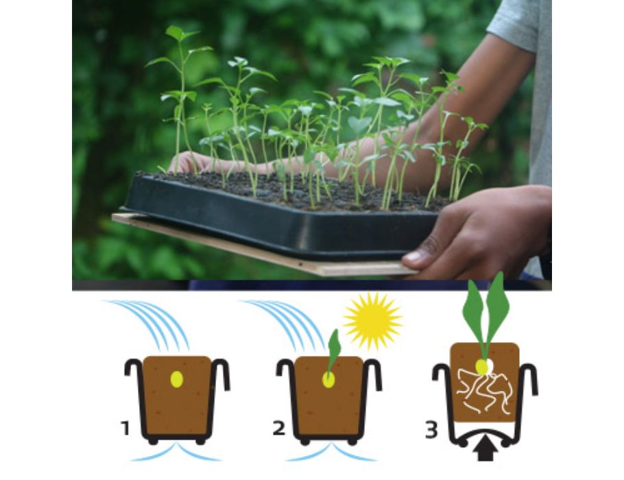 Kiembakjes van Natuurrubber 30st. | Eco-Logisch webshop