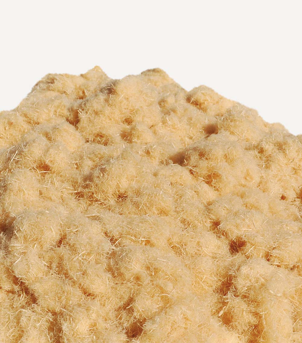 Hout: biobased bouwen met hout