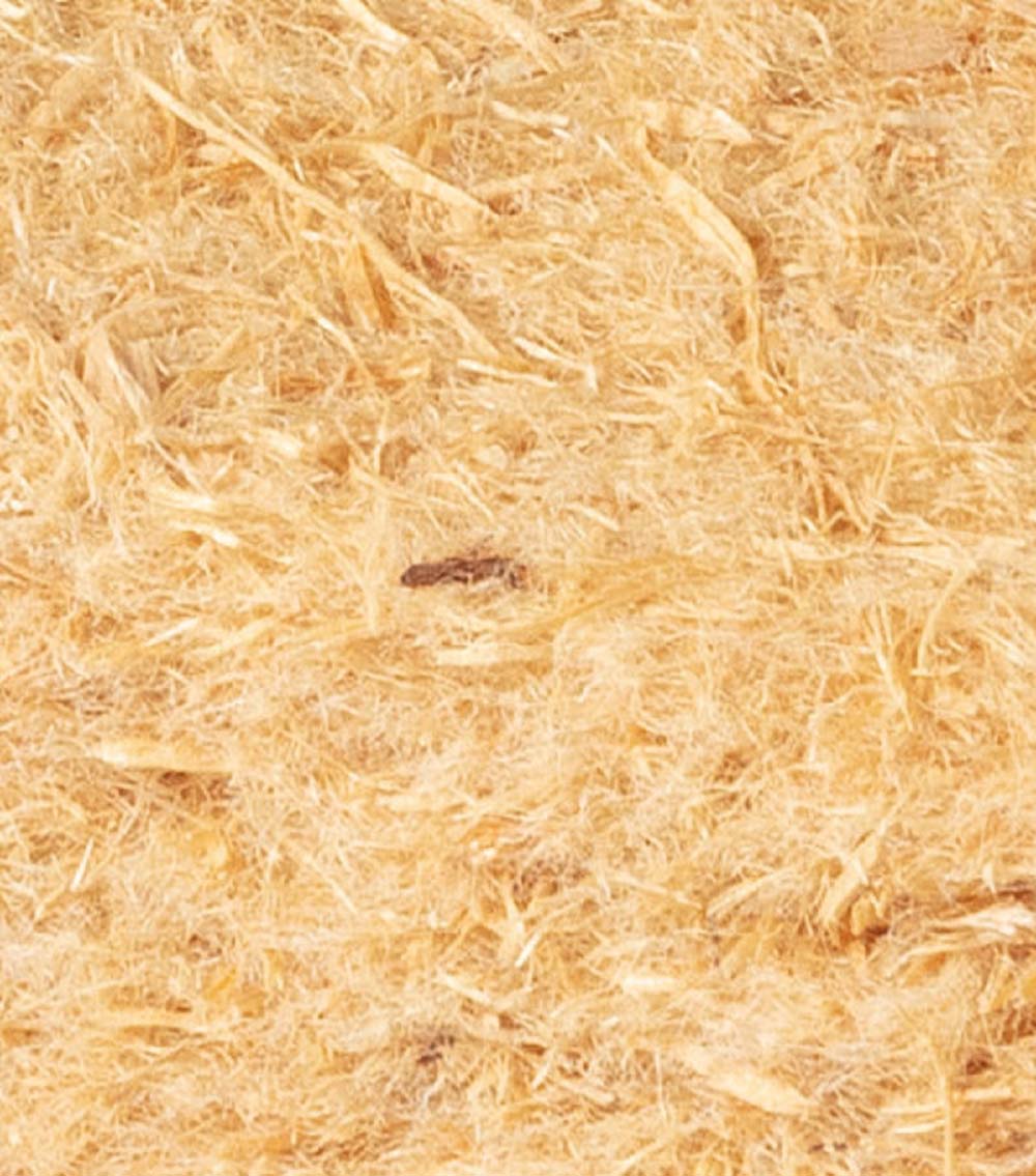 Hout: biobased bouwen met hout