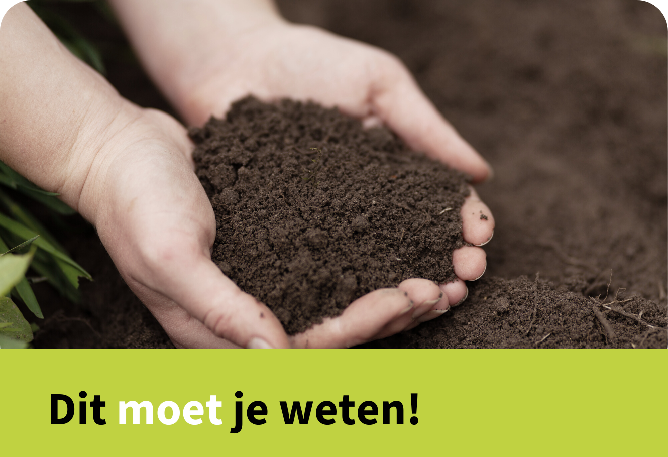Tuintips - Zo begin je een moestuin