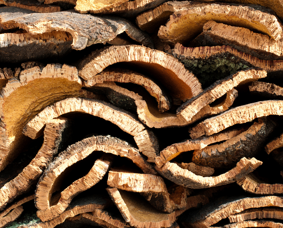 Kurk als biobased bouwmateriaal