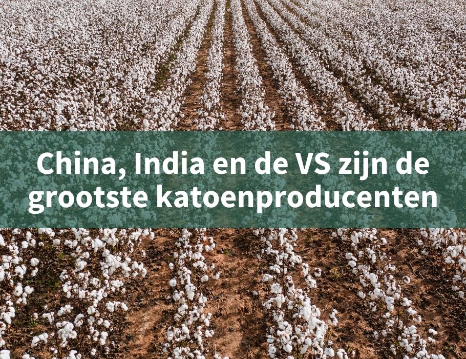 Katoen als biobased isolatiemateriaal