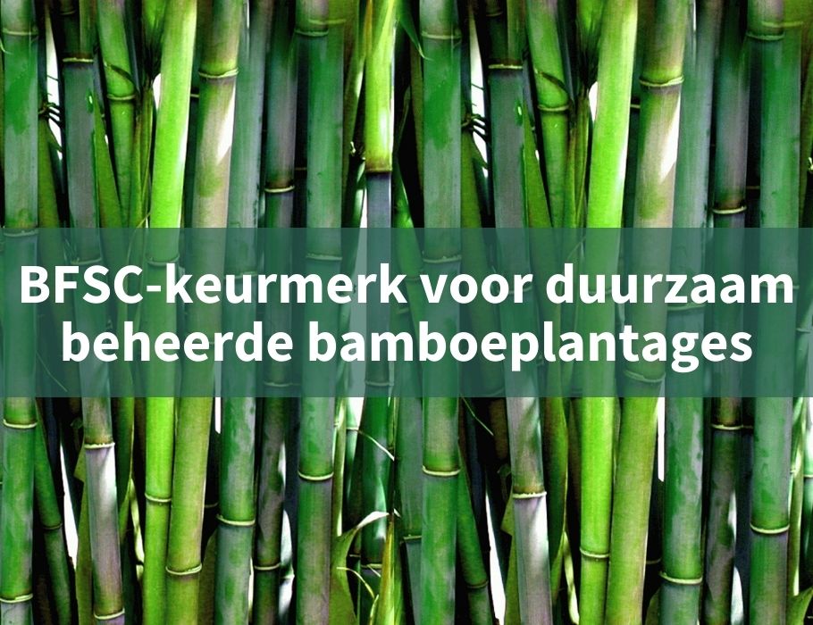 Biobased bouwen met bamboe