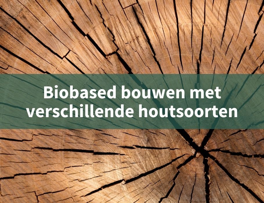 Hout: biobased bouwen met hout