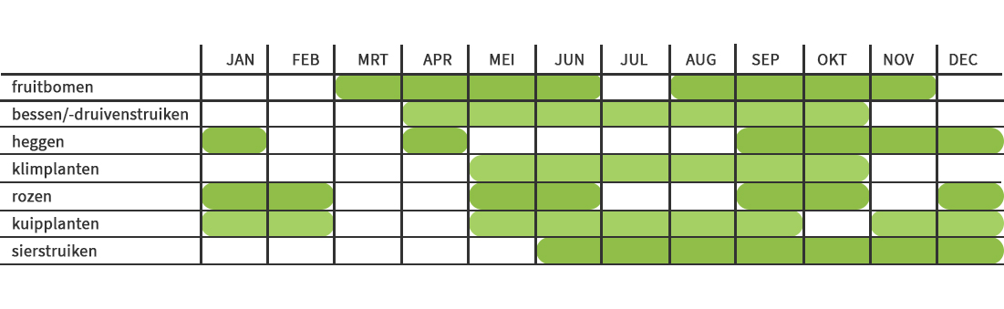 Snoeien? Help! - Uitleg en Informatie | Eco-Logisch
